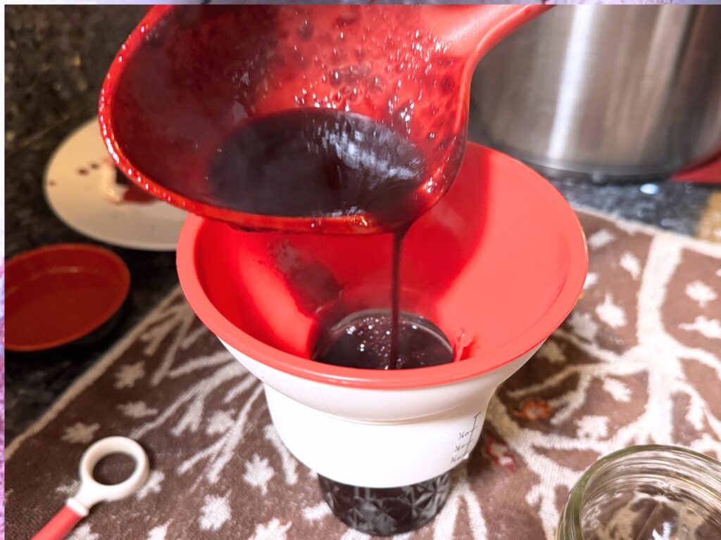 Simple Blackberry Jam Recipe | Make Low Sugar Seedless Blackberry Jam ...