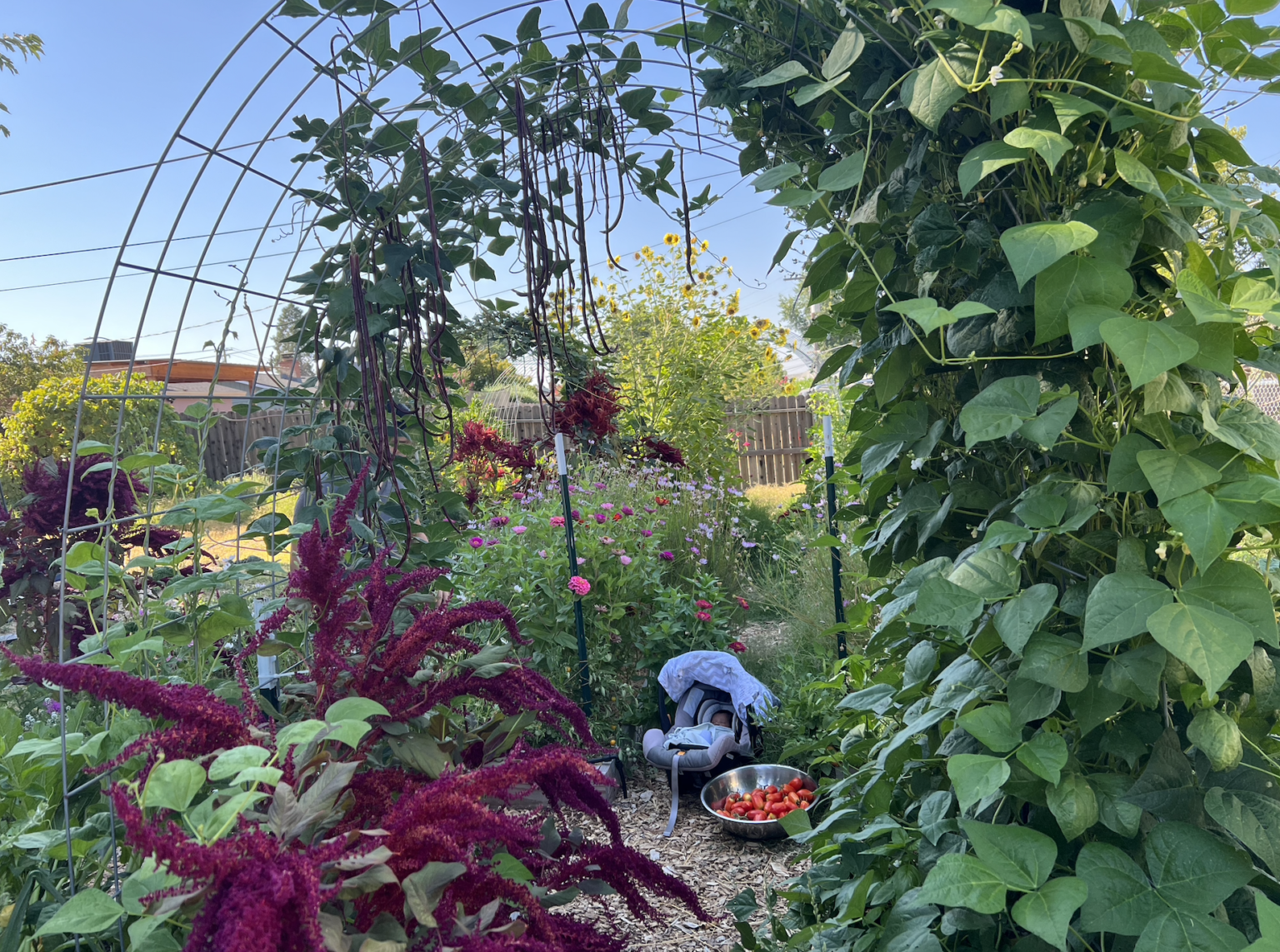 Gardening with Kids - Vegkin